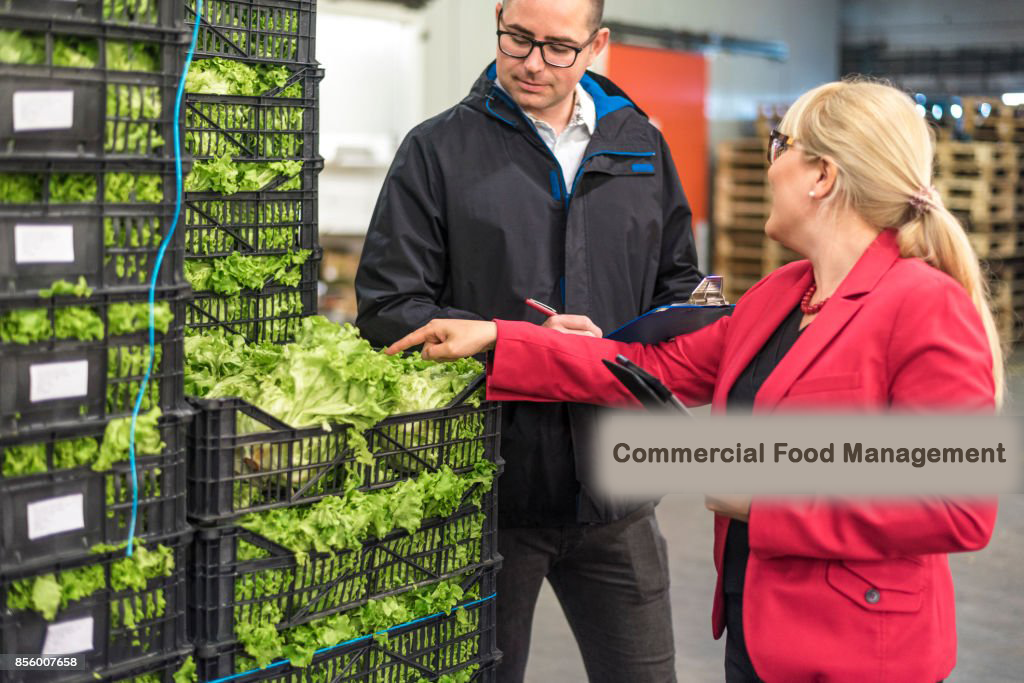 Commercial Food Management: The Art of Maximizing Efficiency – Fertile ...